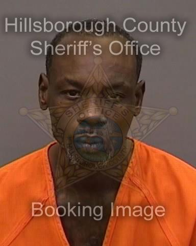 CHARLIE BIRL THOMAS IV of TAMPA booked for