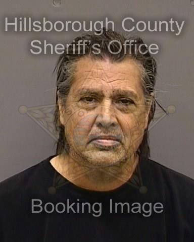 DARRYL MARTIN SCHNEIDER of TAMPA booked for