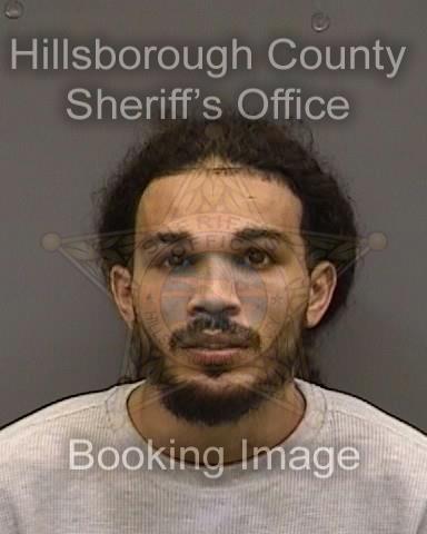 DREW NICHOLAS HUTCHINSON of TAMPA booked for