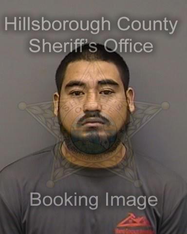 JESUS JUNIOR JR ROSALES of PLANT booked for