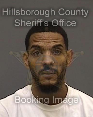 JOSE KING SANTOS of TAMPA booked for