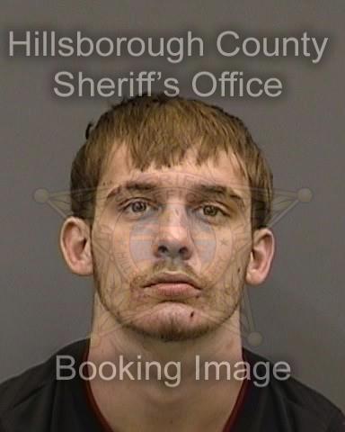 JOSEPH ANDREW HENNEMAN of SEFFNER booked for