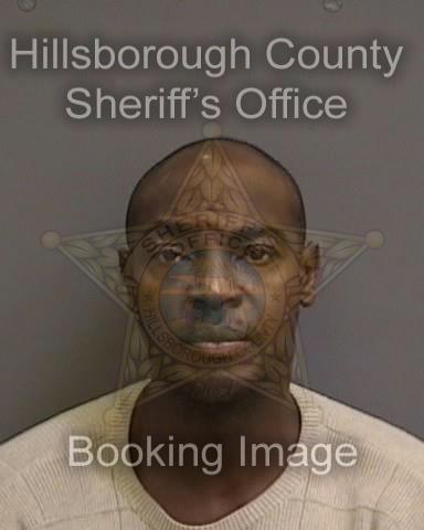MICHAEL ALEXANDER JACKSON of TAMPA booked for