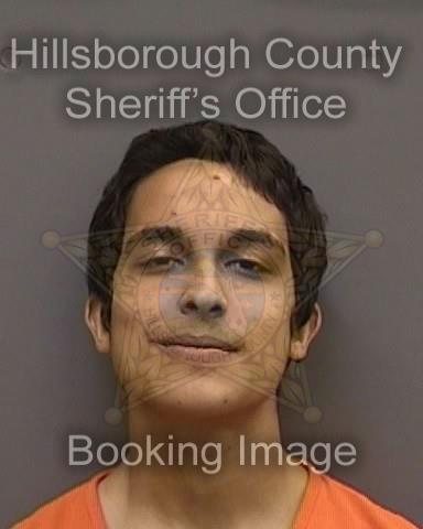 NOAH CHRISTOPHER SOBCZAK of TAMPA booked for