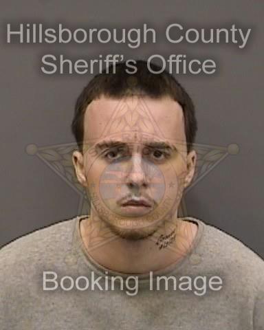 STEVEN TYLER GASKINS of BRANDON booked for