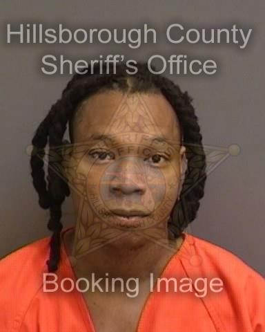 TASHON LIDELL STENNIS of VALRICO booked for