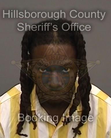 TYREE DANDRE NEWSOME of TAMPA booked for