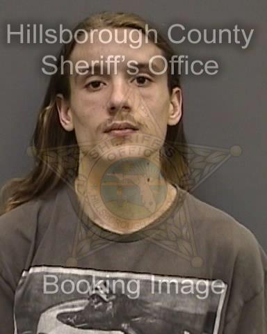 AIDEN RYAN WELLS of TAMPA booked for