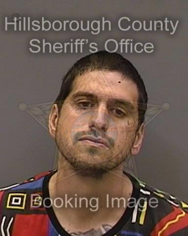 GABRIEL JOHAN ALESSI of TAMPA booked for