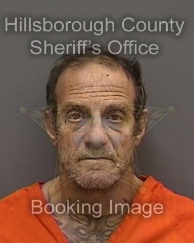 GUY RUSSELL MCDONALD of TAMPA - tbcrimes.com