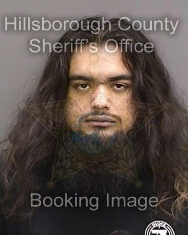 JOSEPH ALEJANDRO GOICOECHEA of RIVERVIEW booked for