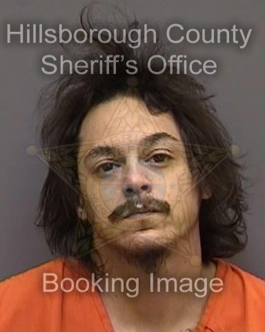MARIO FERNANDO LONE EVANS of GIBSONTON booked for