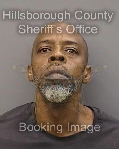 MCKINLEY BEN JR HAMBRICK of TAMPA booked for
