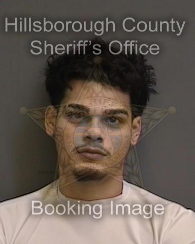 OSCAR DANILO JR VASQUEZ of TAMPA booked for