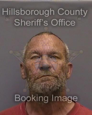 STEVEN GREGG WATTS of RIVERVIEW booked for