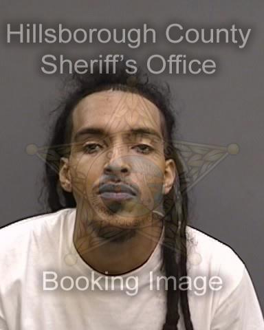 ANDREW CHRISTOPHER LUKE of TAMPA booked for