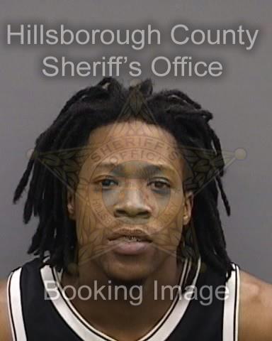 DOUGLAS MELVIN JR ROGERS of ZEPHYRHILLS booked for