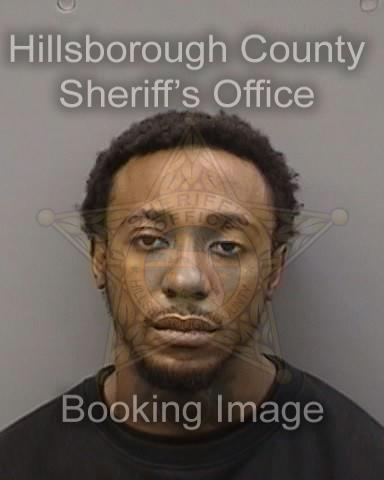 KEETON RASHAD WILSON of RIVERVIEW booked for