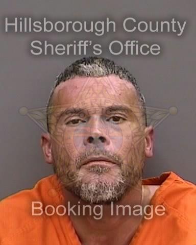 LUKE MARK ANTHONY DEBI of BRANDON booked for