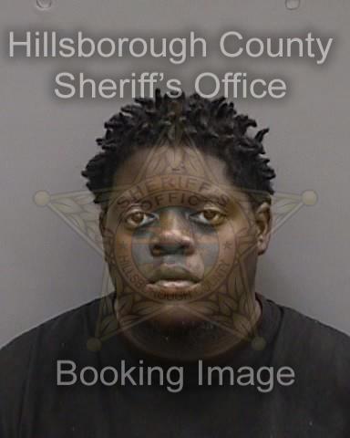 ALEX FRITZ GUERRIER of TAMPA booked for