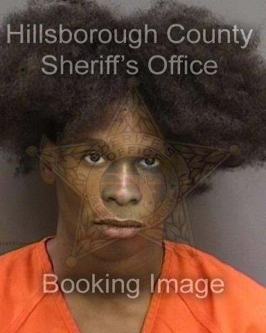 LESHAWN WILLIAM EARL HINDS of RUSKIN booked for
