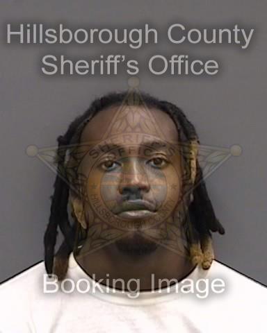 SHANE DEMETRIUS EVINS of BRANDON booked for