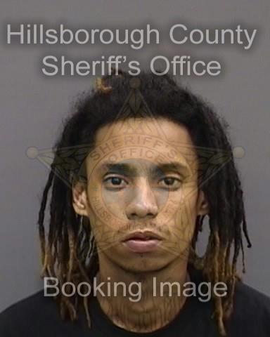 STEPHEN CHRISTOPHER ALLEN JOHNSON of TAMPA booked for