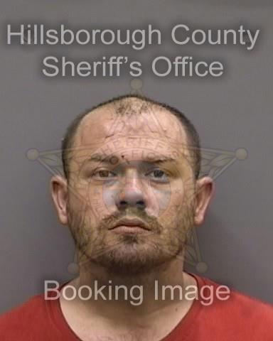 CHRISTOPHER MICHAEL SNOW of THONOTOSASSA booked for