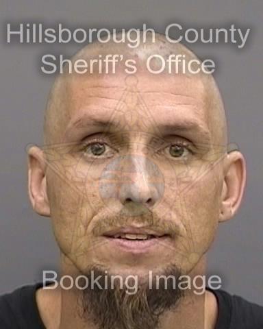 DANIEL RAY ZAJAC of TAMPA booked for