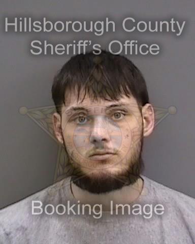 DOMINICK III TRAINA of TAMPA booked for