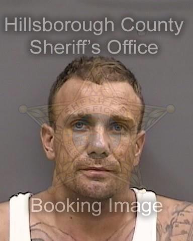 DOUGLAS RAYMOND CASEY of LUTZ booked for