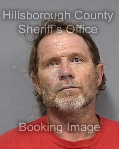 JAMES CHRISTOPHER BABSON of LUTZ booked for