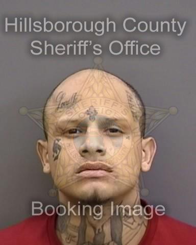 JERRY RAMOS of TAMPA booked for