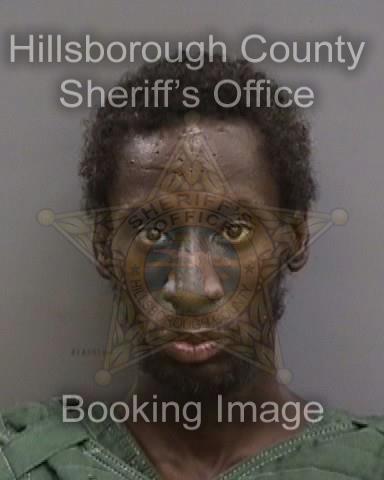 JOE ANTHONY HARRIS of TAMPA booked for