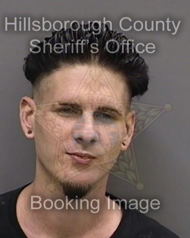JORDAN RYAN HANER of TAMPA booked for