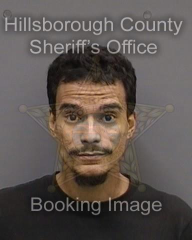 JOSEPH STEVEN VELEZ of BRANDON booked for