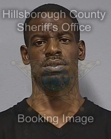 LEONARD A OBI of BRANDON booked for