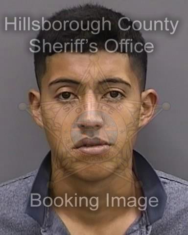MARLON MURILLO CORRECHA of TAMPA booked for