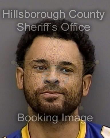 MATTHEW ALAN POWELL of TAMPA booked for