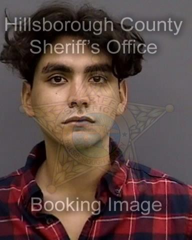 NATHAN ROSS LLUVIA of LITHIA booked for