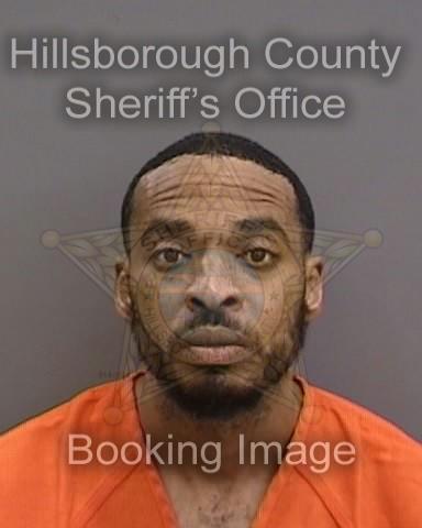 RILEY TREVORIS JACKSON of RIVERVIEW booked for