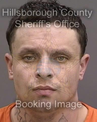WILLIAM COLE ENGLAND of TAMPA booked for