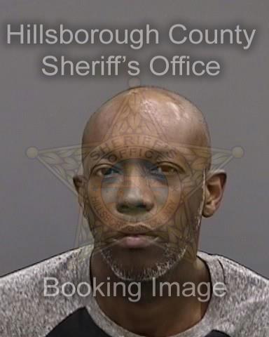 ANDRE LAMONT LEWIS of BRANDON booked for