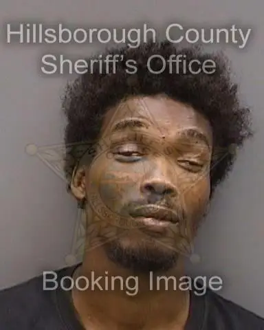 ANTELO SHAVONNE SIMPSON of TAMPA booked for