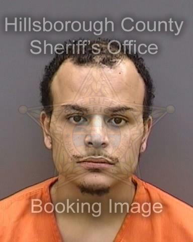 BRIAN GARCIA of TAMPA booked for