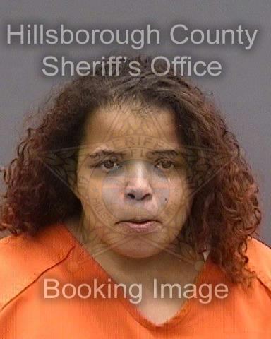 BRIANA ALEXIS JAMES of TAMPA booked for
