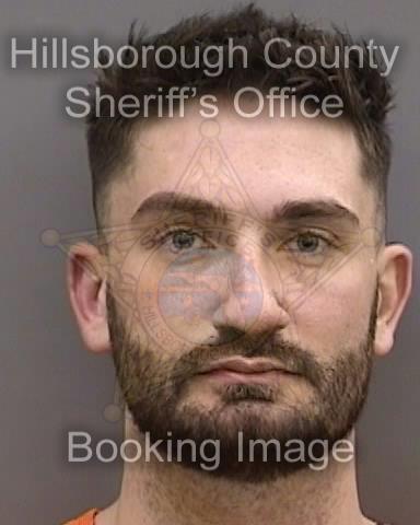 DAVID JESSE HAMILTON of TAMPA booked for