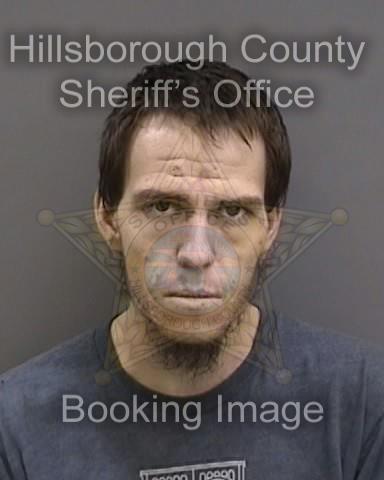 DUSTIN SAMUEL SIROIS of RIVERVIEW booked for