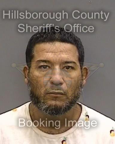 HUGO ALBERTO LONGORIA of GIBSONTON booked for