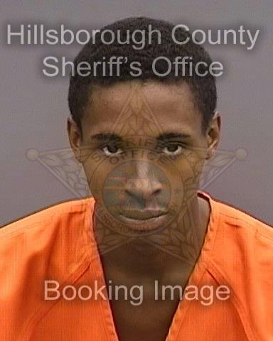 JADEN DAMARI ROBINSON of TAMPA booked for